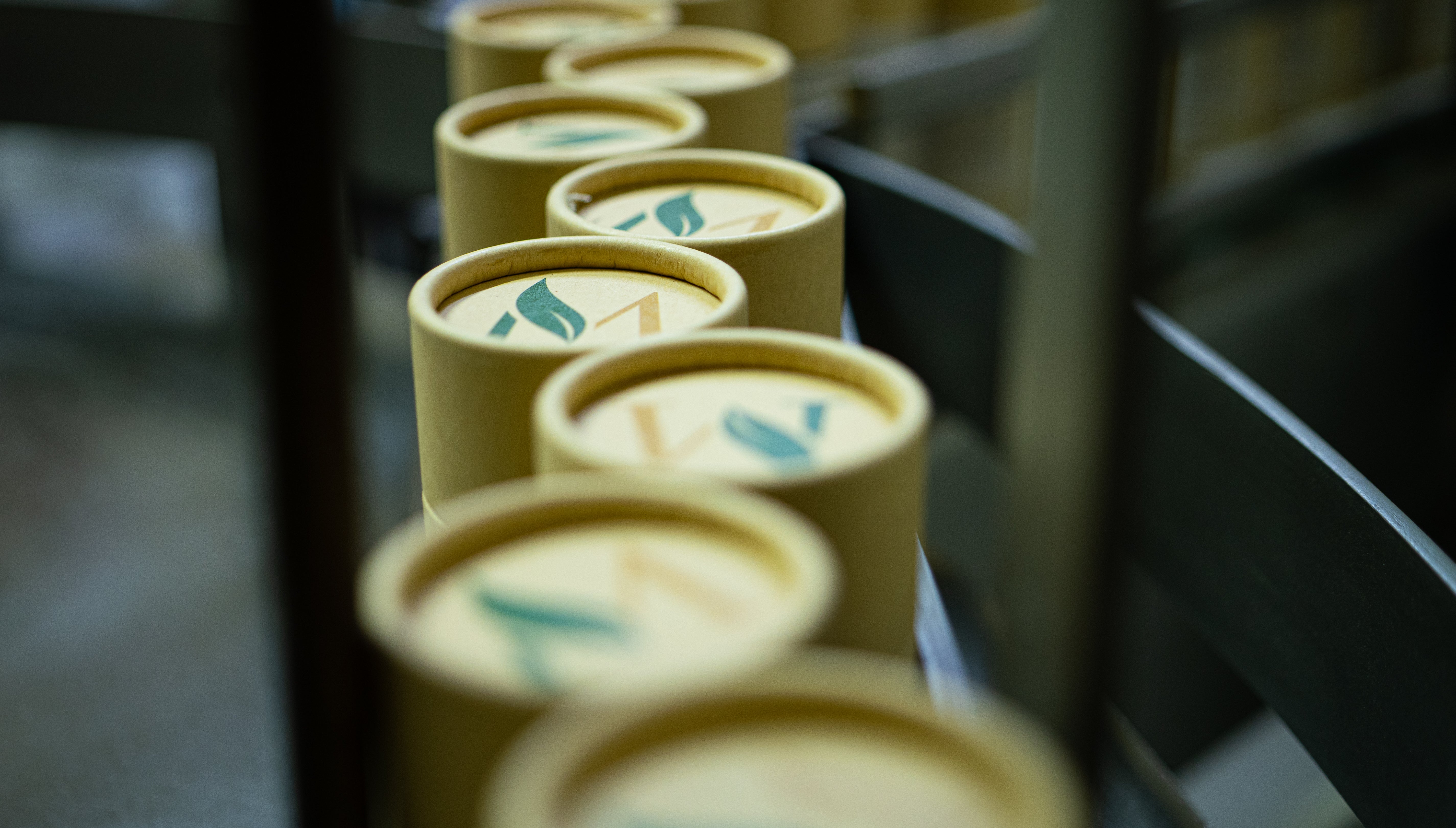 The power of the miracle plant - Marula – MarulaLab